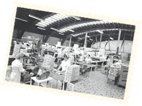 Notre Histoire - Biscuiterie Loc Maria